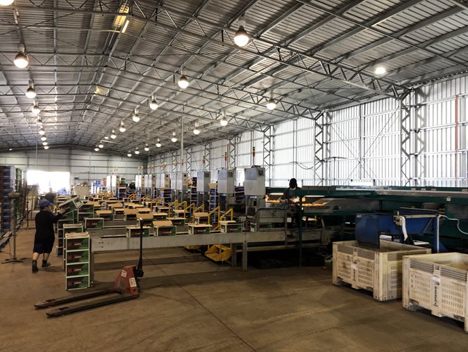 Online Auctions. Buy & Sell Cars, Trucks, Damage - Pickles AU